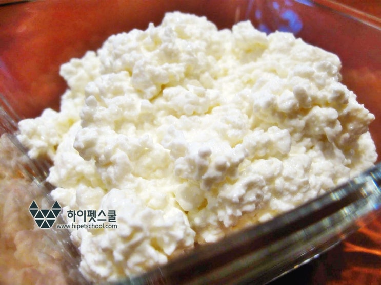 코티지치즈 강아지 무염치즈 락토프리우유를 이용해 수제간식 만들기 하이펫스쿨 네이버 블로그