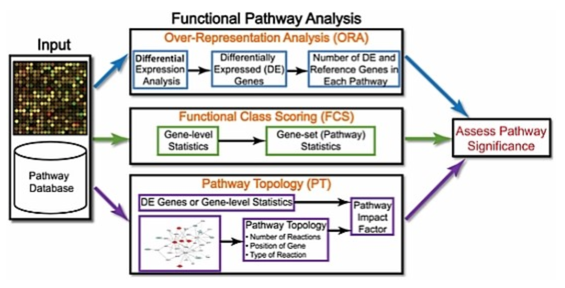 Functional pathway analysis : 네이버 블로그