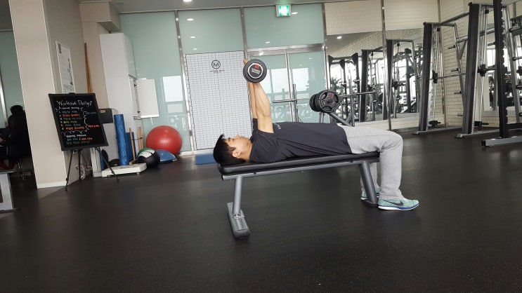 마곡동 헬스 오늘의 운동 포스팅은 흉근을 강하게 만드는 원암 덤벨 벤치 프레스입니다 네이버 블로그