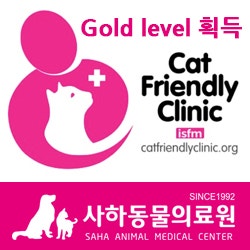 [부산 사하동물의료원] 세계 고양이 수의사회 고양이 친화병원 ISFM 골드 레벨 획득 : 네이버 블로그