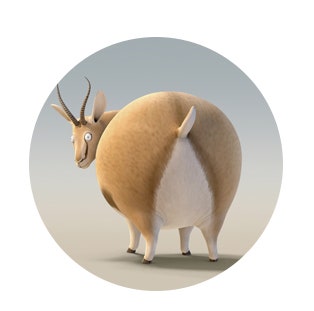 모든 동물이 둥글게 변한 세상, 롤링 사파리[ROLLIN' SAFARI] : 네이버 블로그