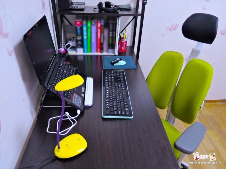 의자 추천- 듀오백 골드플러스 DK-2500GP-W : 네이버 블로그