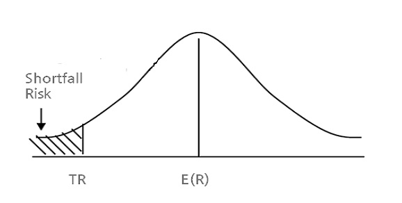 [알기쉬운 리스크관리 용어 해설 3].. Shortfall Risk : 네이버 블로그