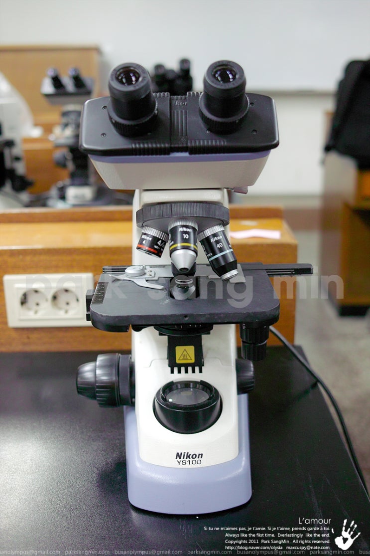 NIKON YS100 Upright microscope (니콘 YS100 정립 현미경) : 네이버 블로그