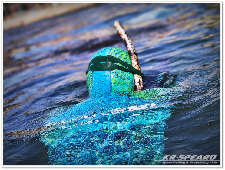 스피어피싱 다이빙슈트 : 살비마 네뷸라 카모 잠수복 / SALVIMAR NEBULA 5.5mm Suit : 네이버 블로그