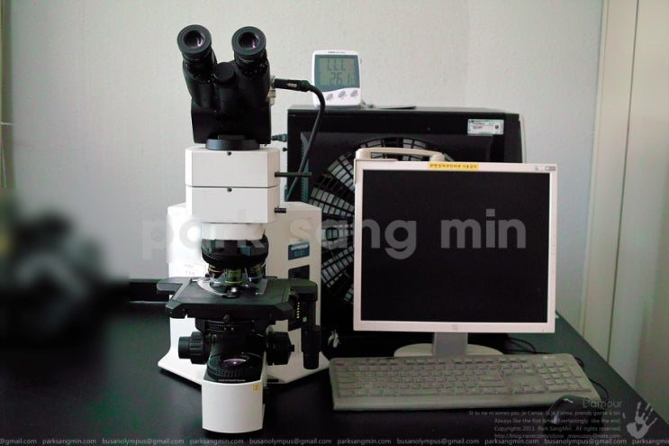 OLYMPUS BX51 Research Upright Microscope (올림푸스 BX51 연구용 정립 현미경 ) : 네이버 블로그