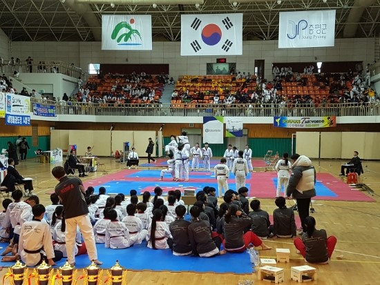 달전태권도포항달전태권도국가대표연세대동부태권도2017 세계청소년태권도연맹 전국개인태권도선수권대회 네이버 블로그