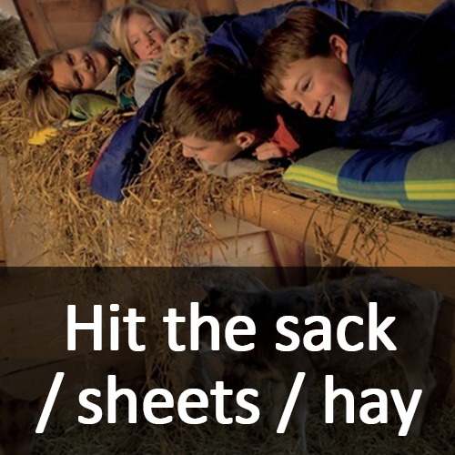 Hit the sack : 잠을 자러 가다 [시트콤 영어회화표현] : 네이버 블로그