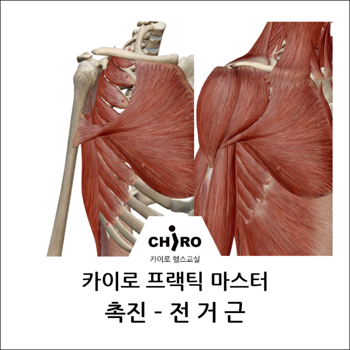 영등포 척추교정 통증전문 카이로헬스교실의 카이로프랙틱 마스터 촉진 전거근 네이버 블로그