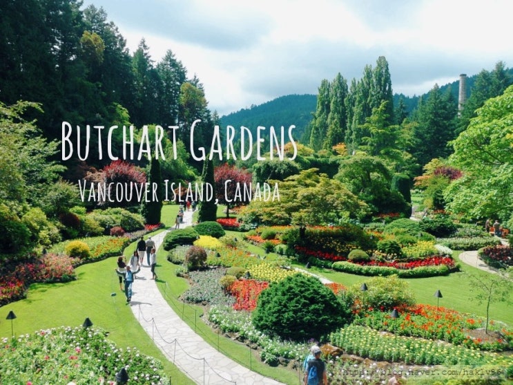 캐나다/벤쿠버: 벤쿠버섬 빅토리아와 꽃의 정원, 부차드 가든 Butchart Gardens : 네이버 블로그
