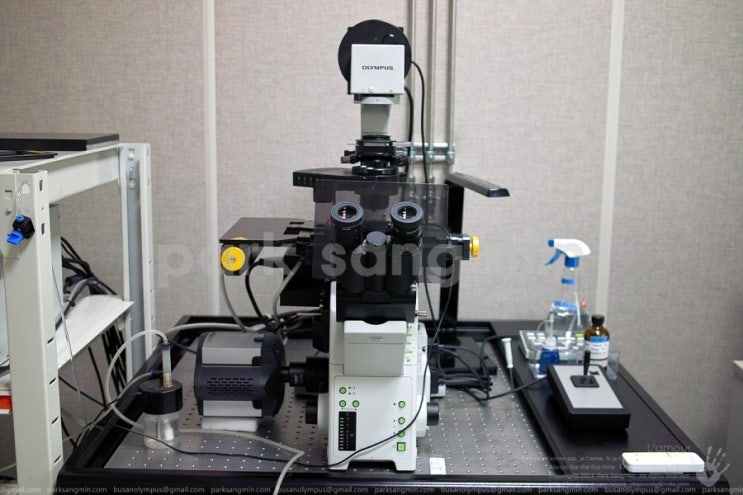 OLYMPUS IX81-ZDC Zero drift motorized microscope (올림푸스 IX81-ZDC 전동 현미경 ...