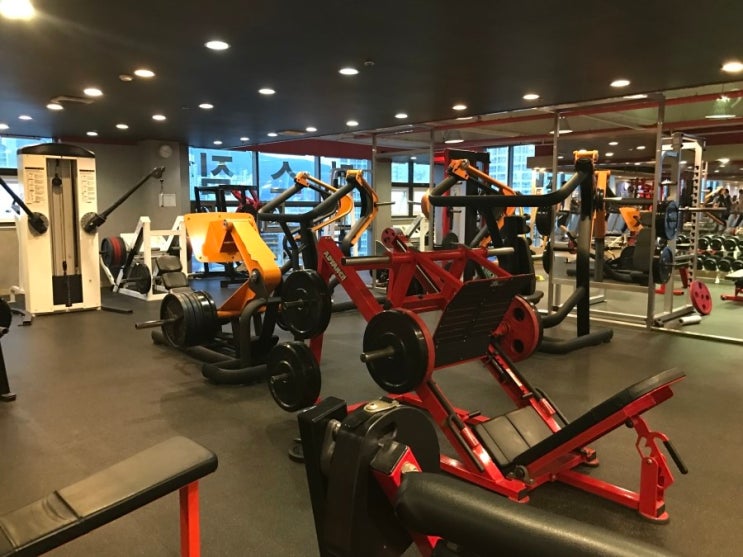 장산역 해운대 헬스장 달라스짐 운동하는 재미를 느끼게 해준 헬스장 헬스 일주일째 네이버 블로그