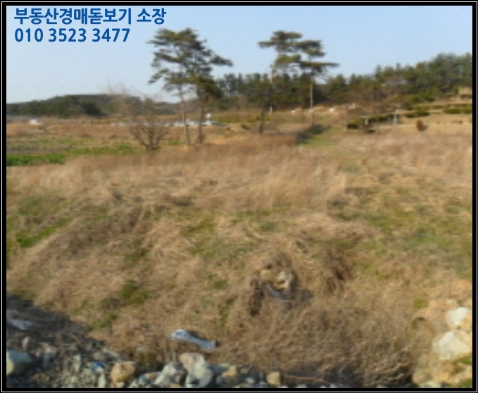 토지전경매 낙찰비법 2016타경 1053¤전북 부안군 변산면 지서리 38 9 경매 수익성분석 네이버 블로그