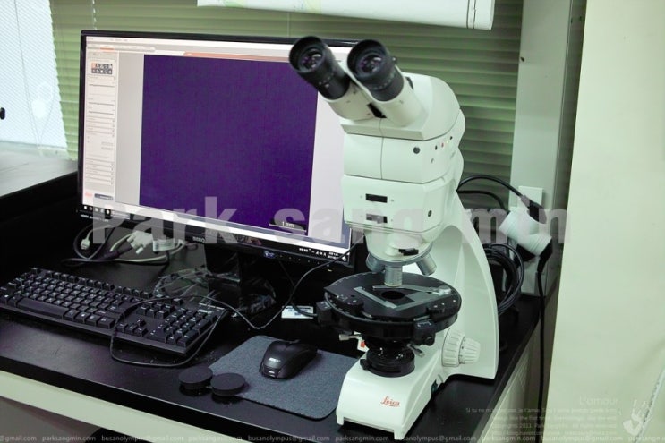 LEICA DM750P Polarizing microscope (라이카 DM750P 학생용 편광 현미경) : 네이버 블로그