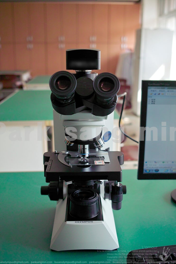 OLYMPUS CX31 Biological microscope (올림푸스 CX31 생물 현미경) : 네이버 블로그