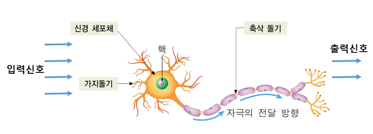 2편 퍼셉트론perceptron 인공신경망의 기초개념 네이버 블로그