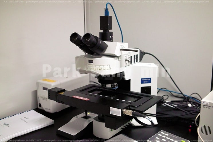 OLYMPUS BX61 Motorizing Upright microscope (올림푸스 BX61 전동 정립 현미경) w ...