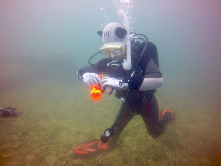 DSMB(Delayed surface marker buoy) : 네이버 블로그