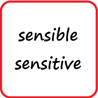 sensible, sensitive 차이점 : 네이버 블로그