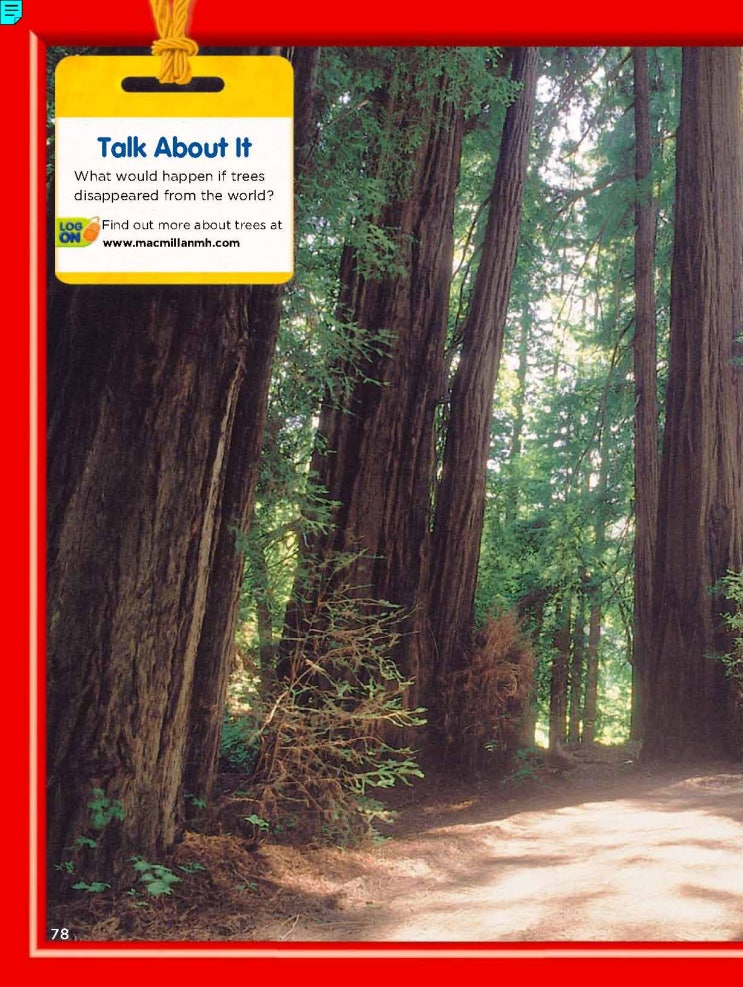 미국교과서 트레저스(Treasures) Grade 5 Unit 1 Lesson 5 (화상영어 전화영어 페트라아카데미 Aiza ...