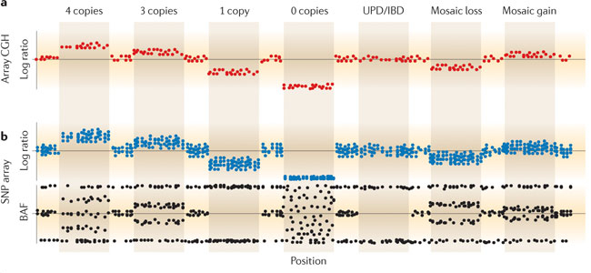 Array CGH vs SNP microarray : 네이버 블로그