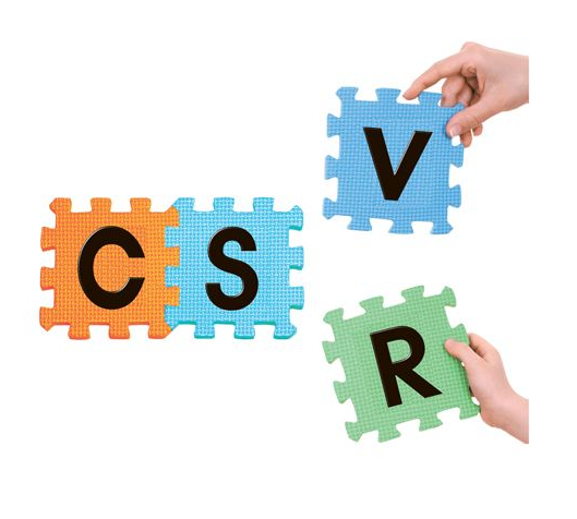 [분석] 쟁점으로 본 CSR vs. CSV : 공유가치창출은 기업의 사회적 책임을 보장하는가 : 네이버 블로그