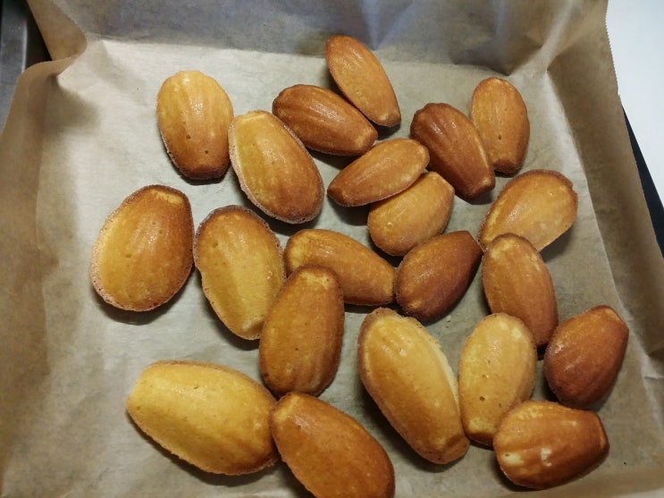 [달콤행복] 마들렌(madeleine)에 빠지다, : 네이버 블로그