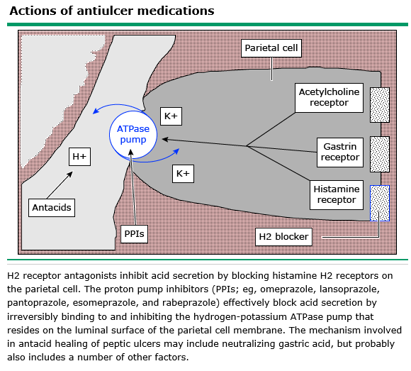 히스타민-2-수용체 길항제, 작용기전, H2RAs, mechanism of action : 네이버 블로그