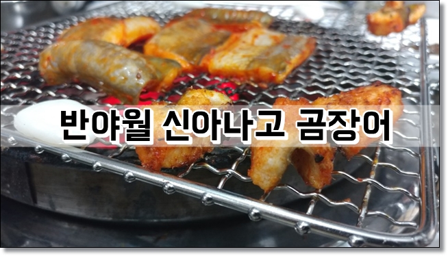 동호지구 맛집 반야월 맛집 신아나고 곰장어 네이버 블로그