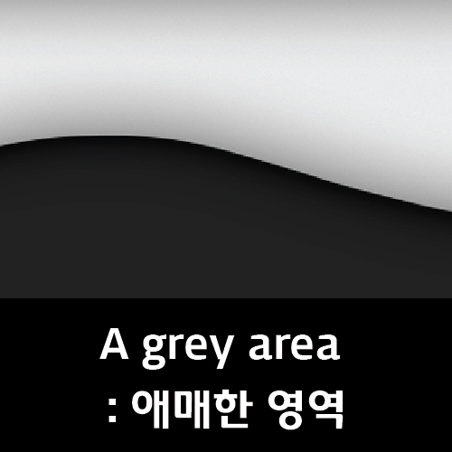 A grey area : 애매한 영역~ [영어표현 공부] : 네이버 블로그