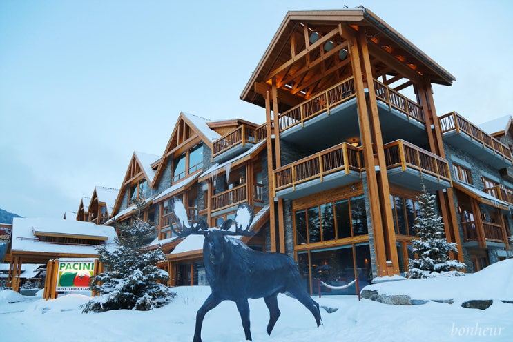 캐나다 밴프 숙소 밴프 무스호텔 & 스위트(Banff Moose Hotel : 네이버 블로그
