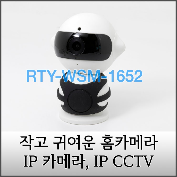 RTY-WSM-1652, IP 카메라(IP CCTV)를 집에 설치 했습니다. (홈카메라) : 네이버 블로그