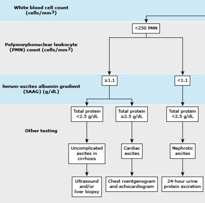 복수의 감별 진단, Differential diagnosis of ascites, algorithms : 네이버 블로그