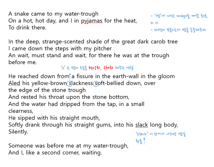 [영미문학] Keyword 정리 영미문학개론 Chapter 14. Alliteration/ Onomatopoeia . D.H ...