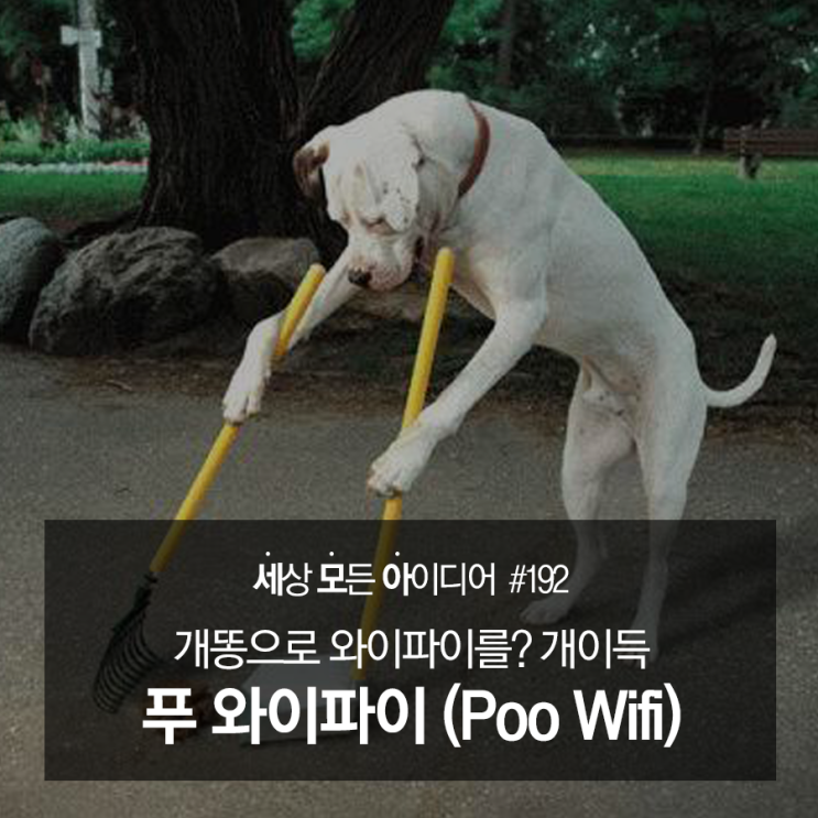 [세상 모든 아이디어 #192] 개똥으로 와이파이를? 개이득 푸 와이파이 (Poo Wifi) : 네이버 블로그
