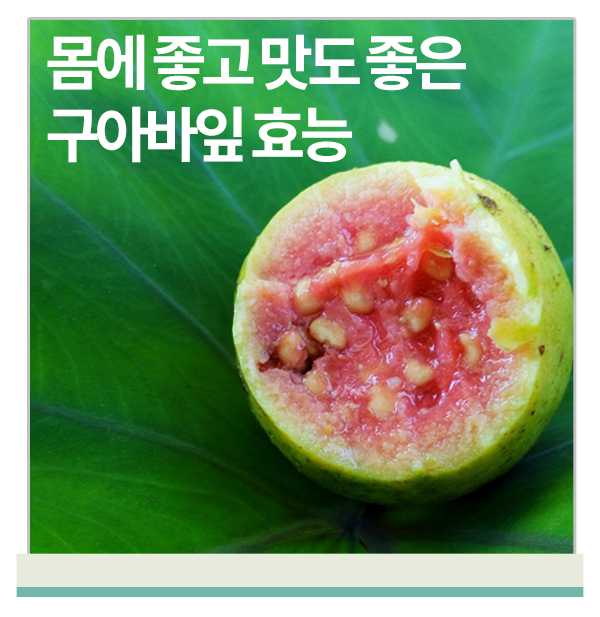 구아바잎 효능 10가지 알아보기 네이버 블로그