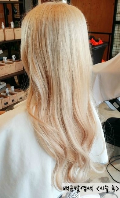 ★백금발 화이트블론드 차이 Hair Makeover 백금발탈색 노란끼없는탈색 차이 헤어메이크오버 애쉬블론드 아이보리