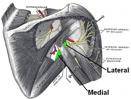 Quadrangular space : 네이버 블로그