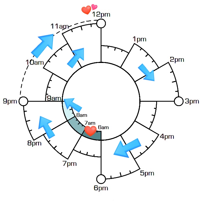 시간관리(다이어리 활용) - 크로노덱스(Chronodex) : 네이버 블로그