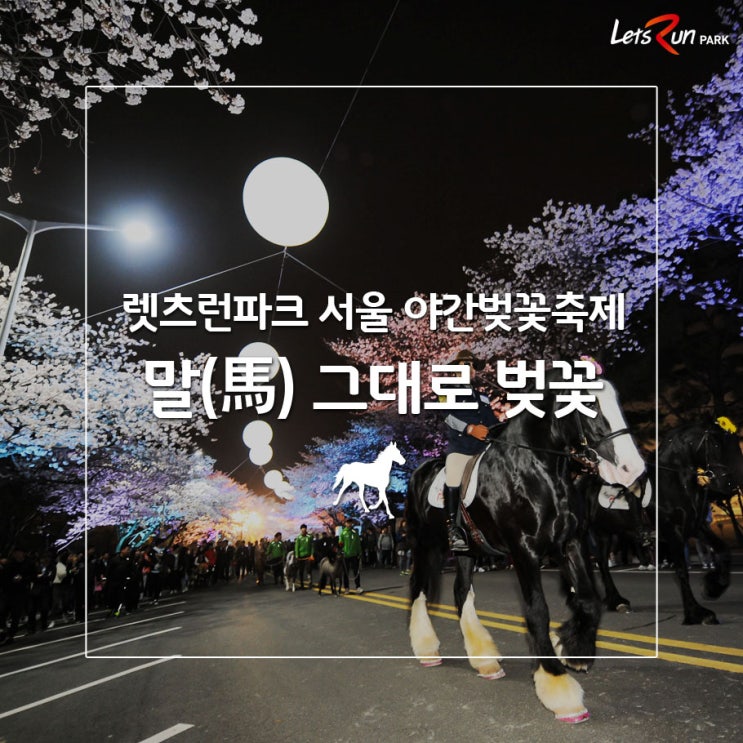 봄 나들이 추천 나만 알고 싶은 서울 근교 벚꽃축제 말 그대로 벚꽃 네이버 블로그