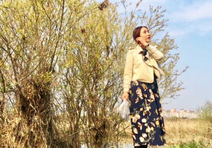 봄꽃차, 봄까치꽃차 만들기 - 버드나무 아래, 자세히 보아야 보인다. 너 참 어여쁘다, 봄까치꽃 : 네이버 블로그