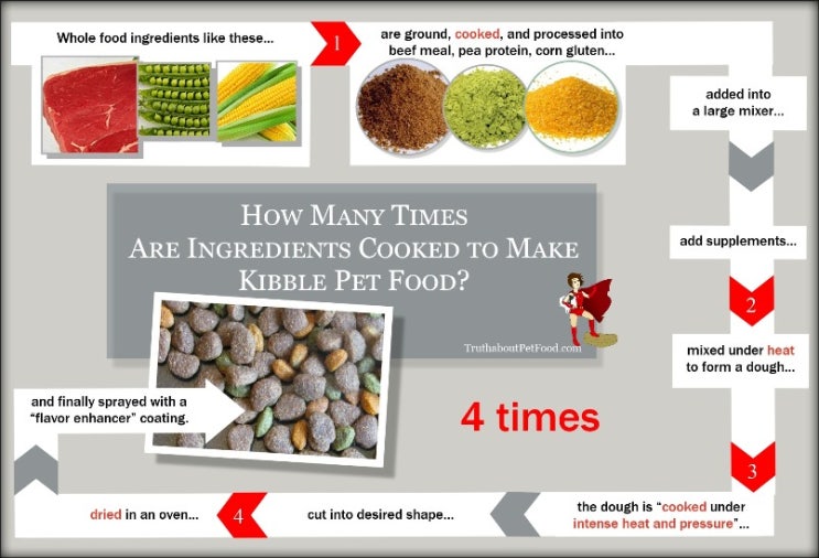 3 of the Craziest Myths Owners Believe About Kibble (건사료에 대한 반려인들의 3가지 ...
