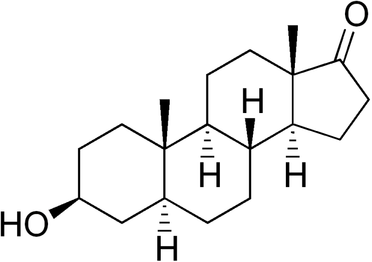 에피안드로 (Epiandrosterone) 사용가이드. : 네이버 블로그