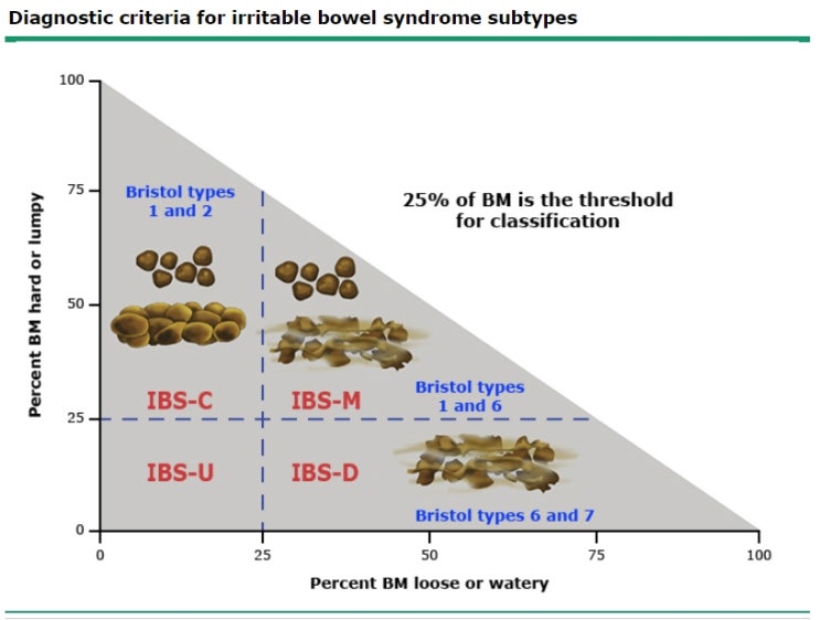 과민성 대장증후군 진단, Irritable bowel syndrome, IBS, diagnostic criteria : 네이버 블로그