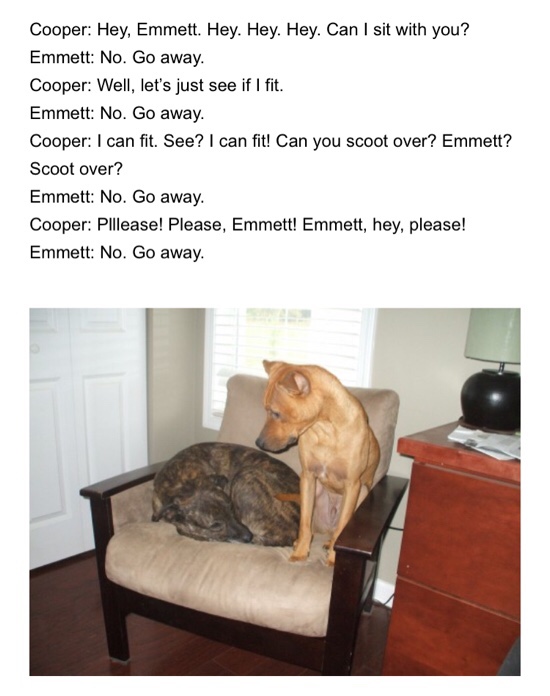 [캐나다 데이케어 영어] Scoot over / Squeeze up : 네이버 블로그