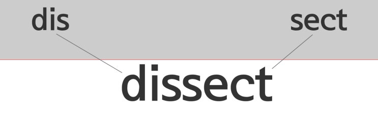 dissect, dissection - 어원학습 : 네이버 블로그