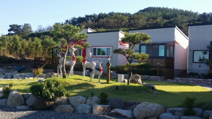 포항 펜션 독채 펜션 스파 펜션 개별 바비큐 펜션 포항 포에버 펜션~ 월포해수욕장 화진해수욕장 네이버 블로그