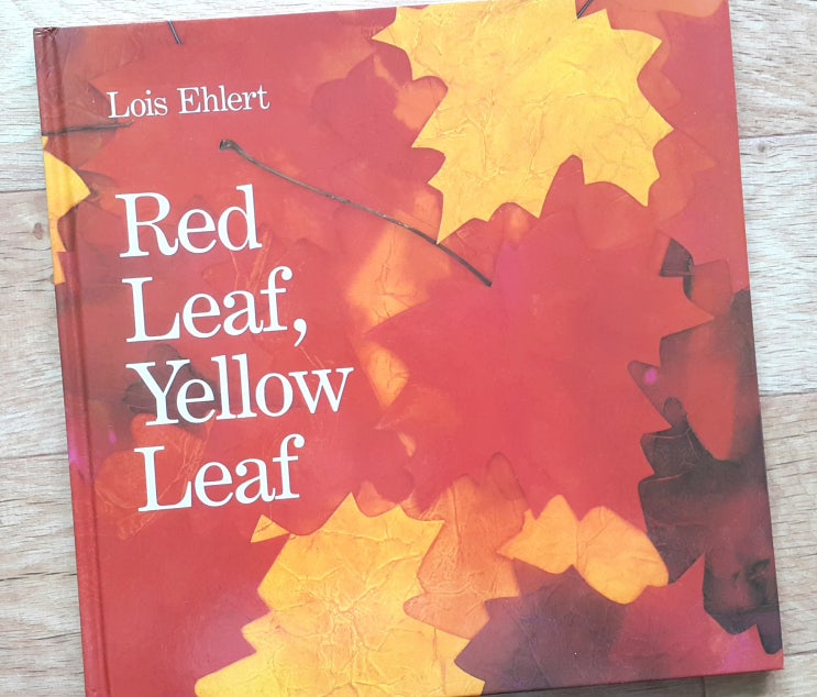 단풍나무의 Life Cycle : Red Leaf, Yellow Leaf -by Lois Ehlert : 네이버 블로그