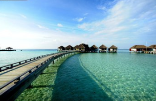 SWIFT(스위프트)메시지 MT400-MT499 타입에 대한 개요 및 해설 : 네이버 블로그