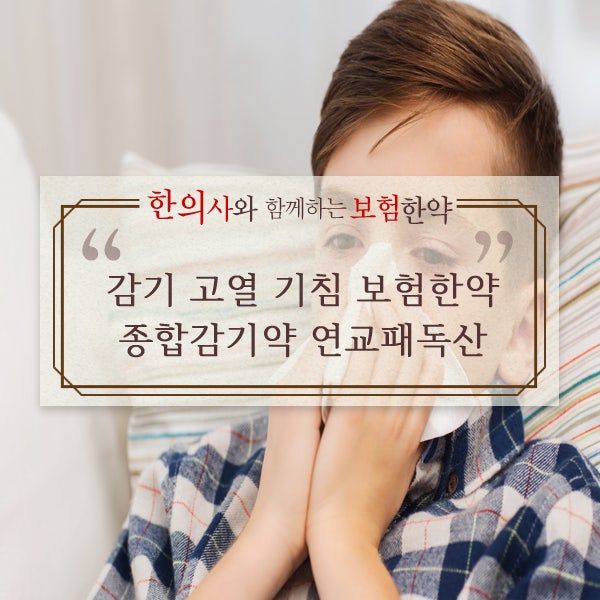 감기 고열 기침 보험한약 종합감기약 연교패독산 네이버 블로그